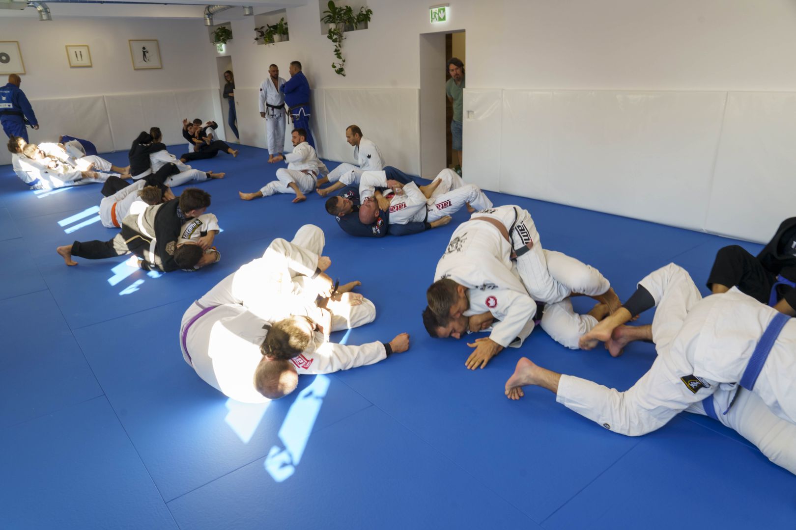 Gallery - Atos JiuJitsu Romania | București